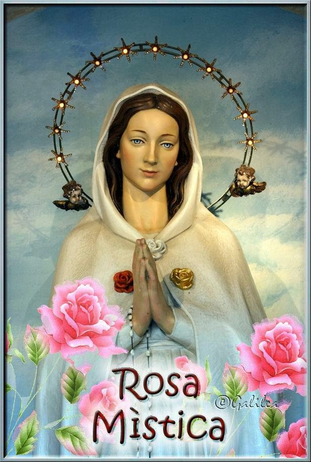 ® Virgen María, Ruega por Nosotros ®: VIRGEN MARÍA ROSA MÍSTICA