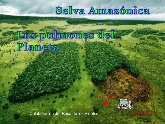 - El blog de John Coffey -: ¿Es la Selva Amazónica el “pulmón del mundo”?