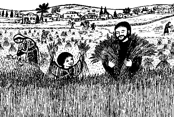 Dice Dios: "La cosecha es abundante, pero los trabajadores son pocos ...