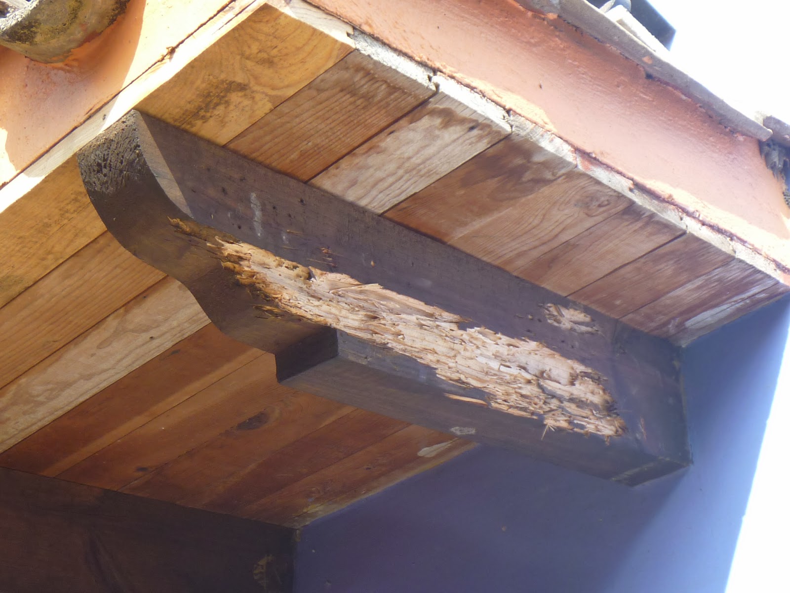 Casa Azuledos: Skirt-roofs & Overhangs