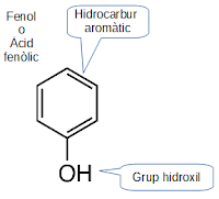 CERVESA EN CATALÀ: Els fenols en la cervesa -2- QUÈ SÓN ELS FENOLS?