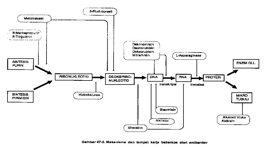 KAMPUS FARMASI: kemoterapi