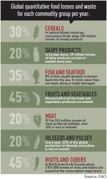 FAO Food Waste Infographic | Big Picture Agriculture