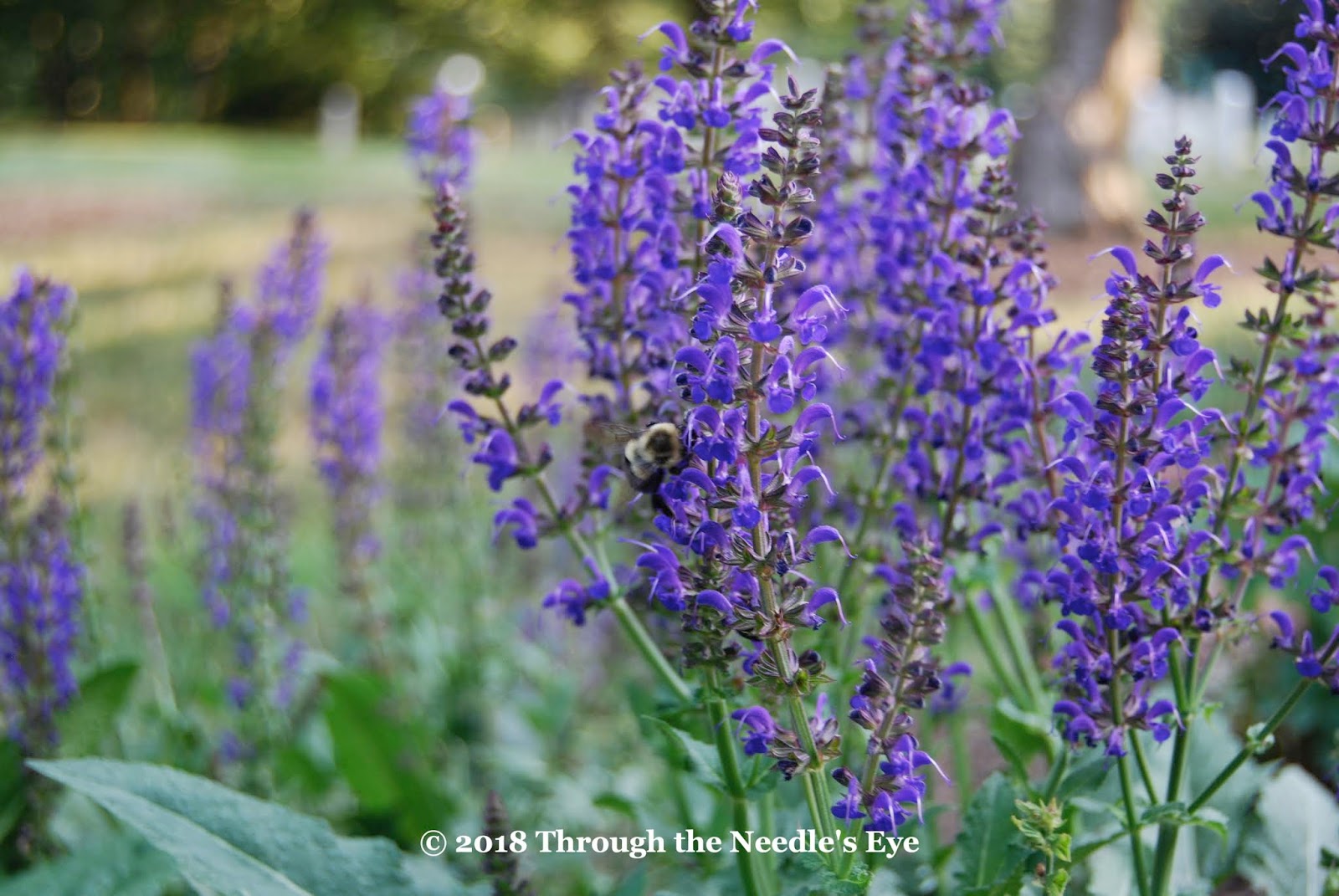 Telling Stories Through the Needle's Eye: "In the Garden"—Wheelbarrow ...