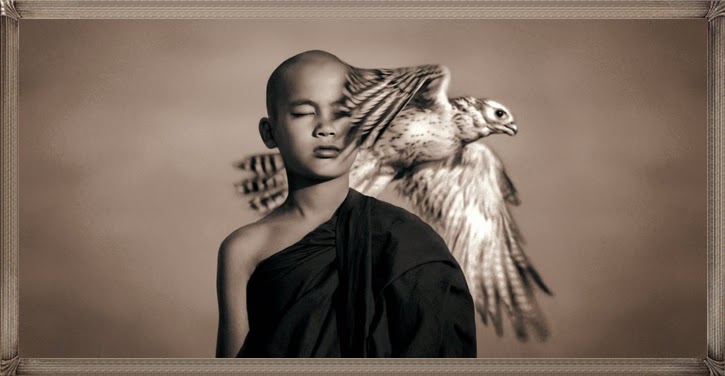 Ostáriz Art Gallery: Gregory Colbert
