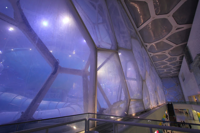 In Technicolored Life: The Bird's Nest and Water Cube