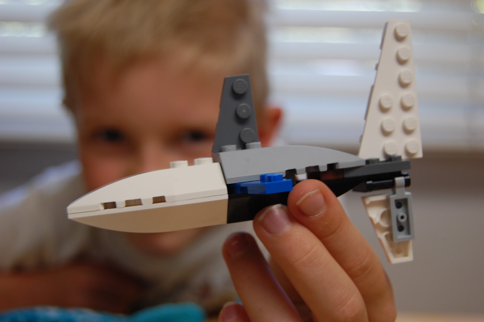 Encouragement and Resources for the Daily Life: Lego Whale Shark