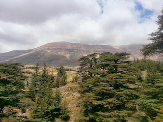 EDUCEIN. Paisajes de Fenicia