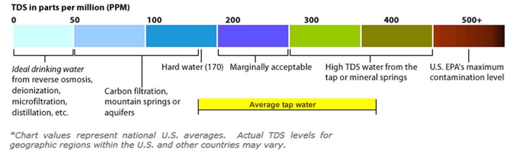 Water facts you need to know
