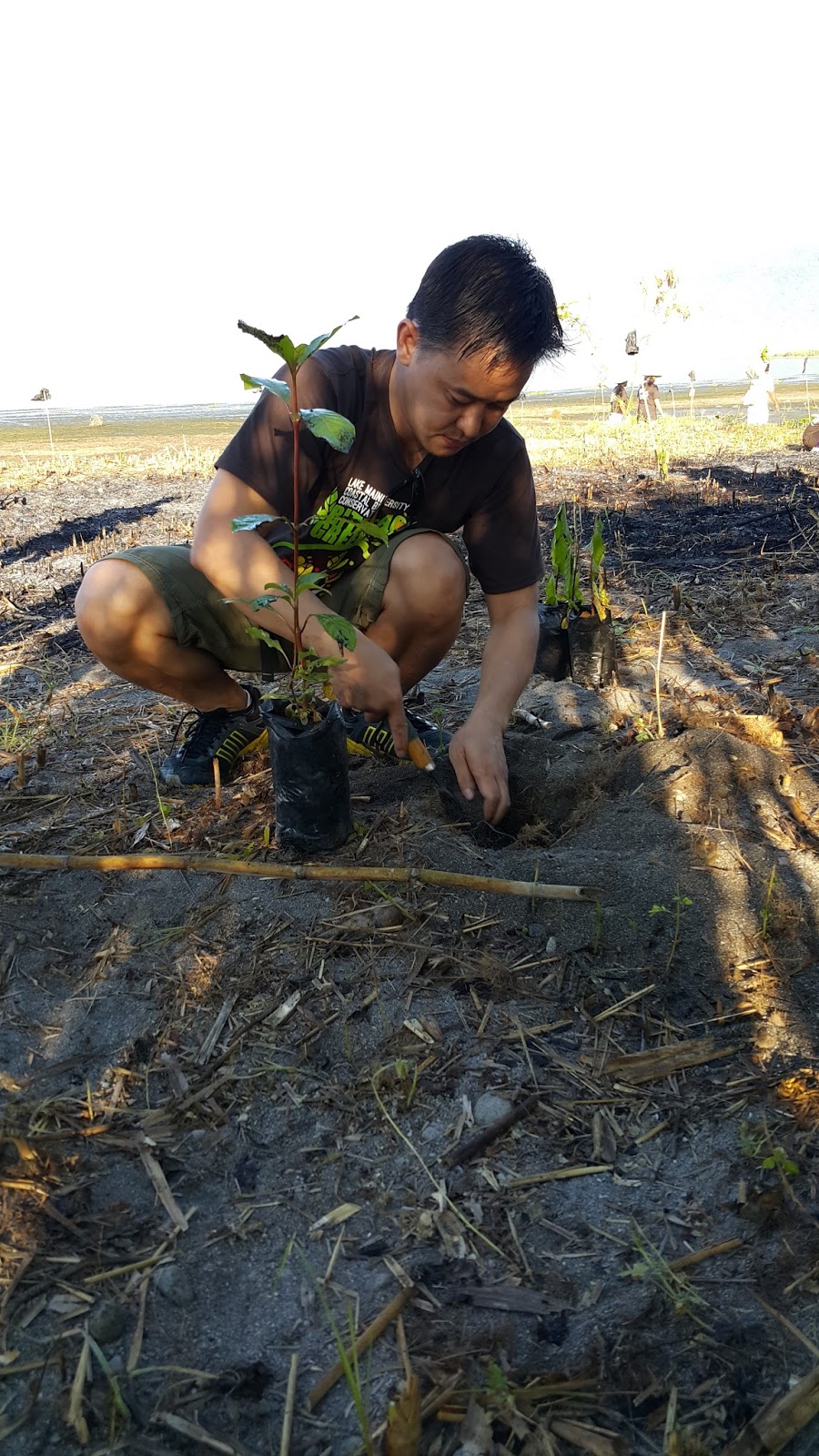 PIDJANGA of Mainit, Surigao Norte: Global Surigaonons conduct tree ...