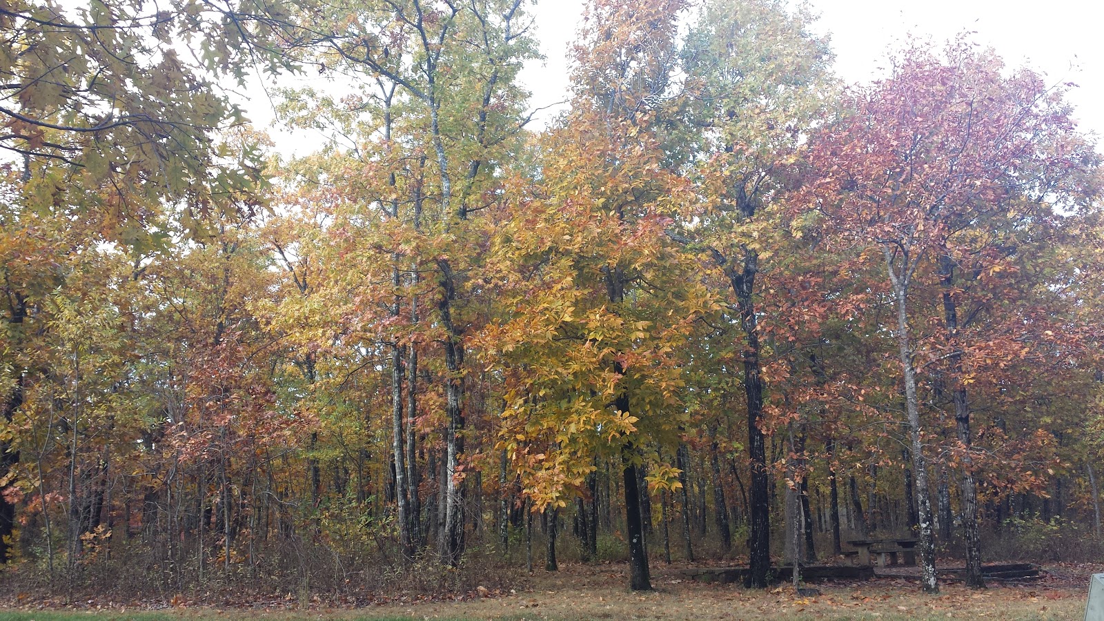Hendrix Heartland Adventures: Cameron Bluff Campground
