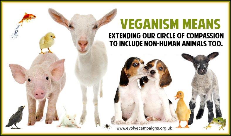 VEGANISM: A TRUTH WHOSE TIME HAS COME: 137 Vegan Advocacy Posters - Part 1