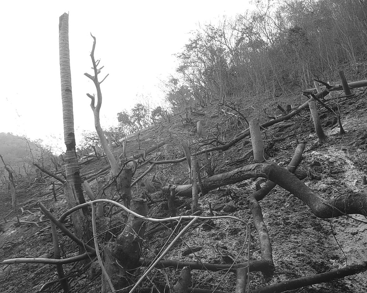 kaingin - philippin news collections