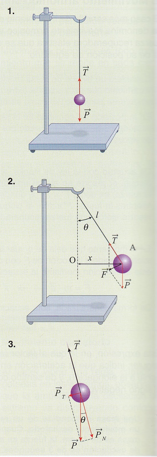 Oscilaciones y Ondas: El Péndulo