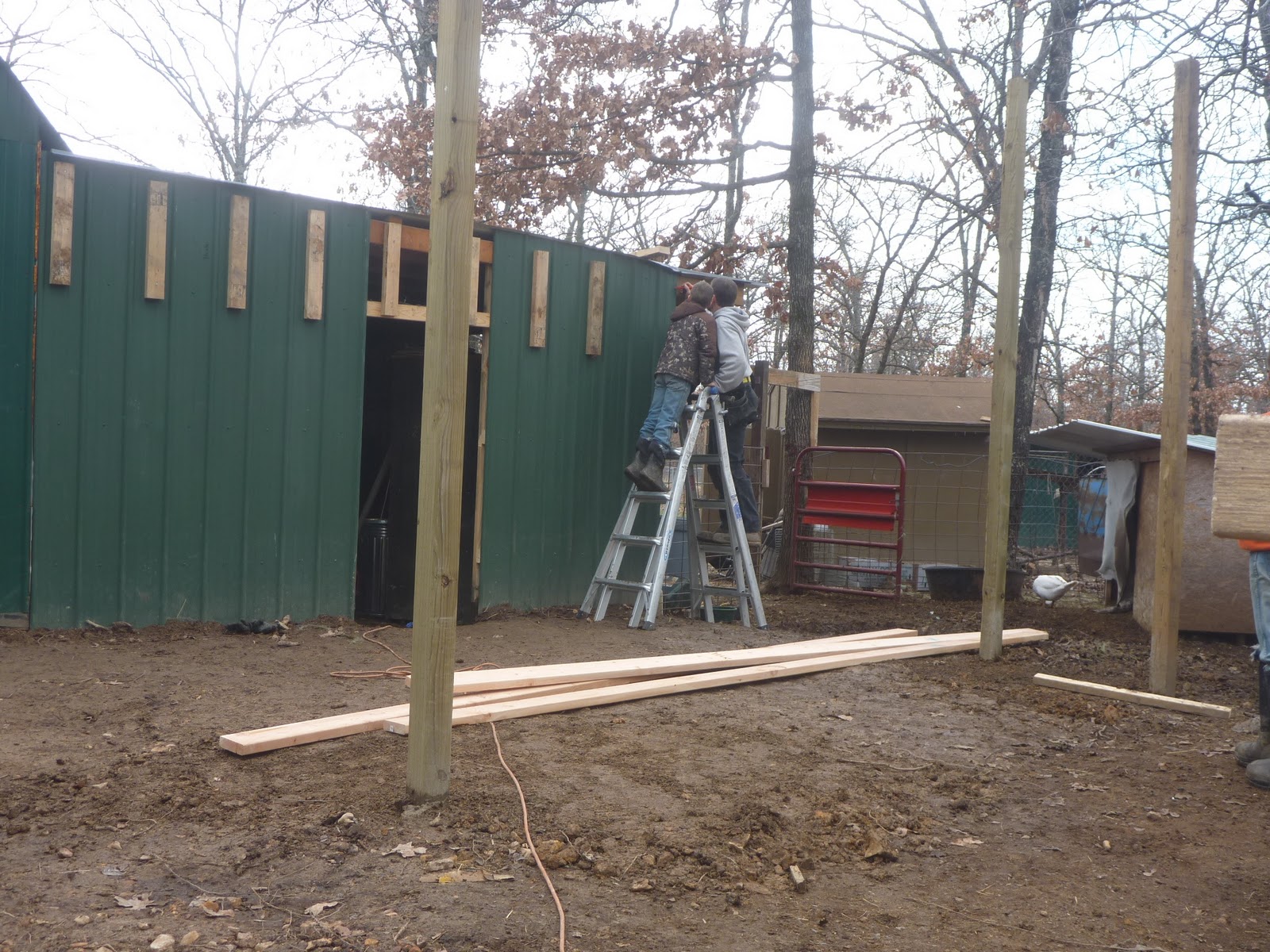 Seven Acre Ranch: Part 2 of Building a Loafing Shed