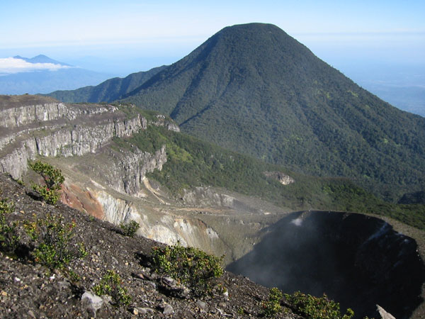 Gunung Gede Pangrango National Park - Our Home Java Island