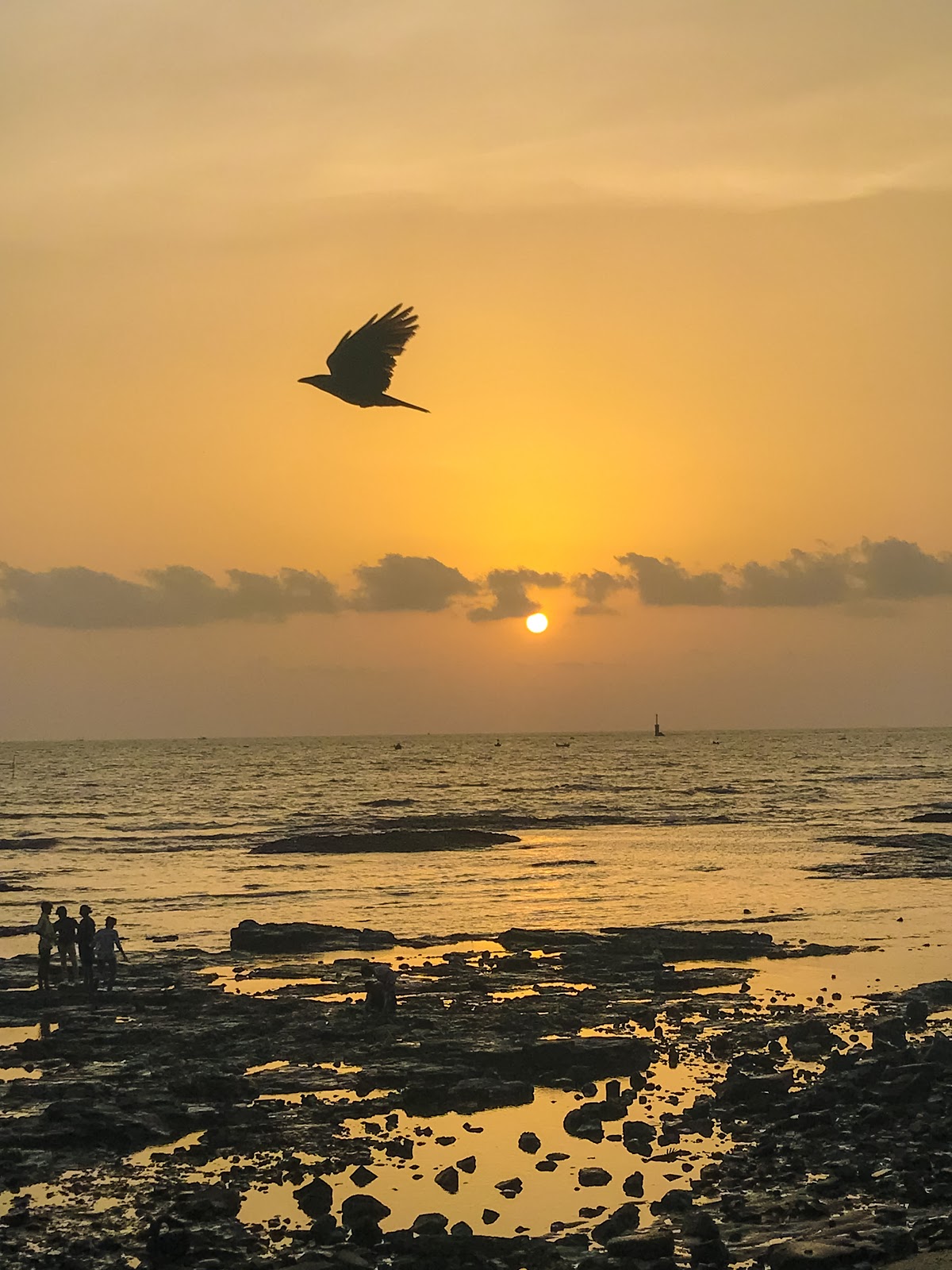 Sunset Obsession #ShadesOfTheSky