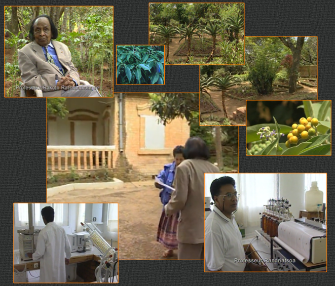 MEDECINE à Madagascar à partir de 1897...: Médecine traditionnelle ...