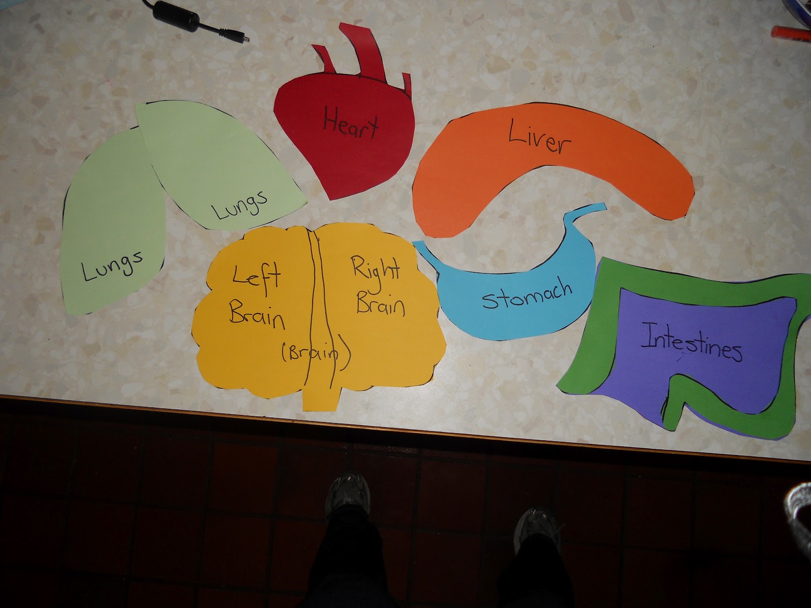 Intellikids! Early Learning Down Under: learning about the Human Body