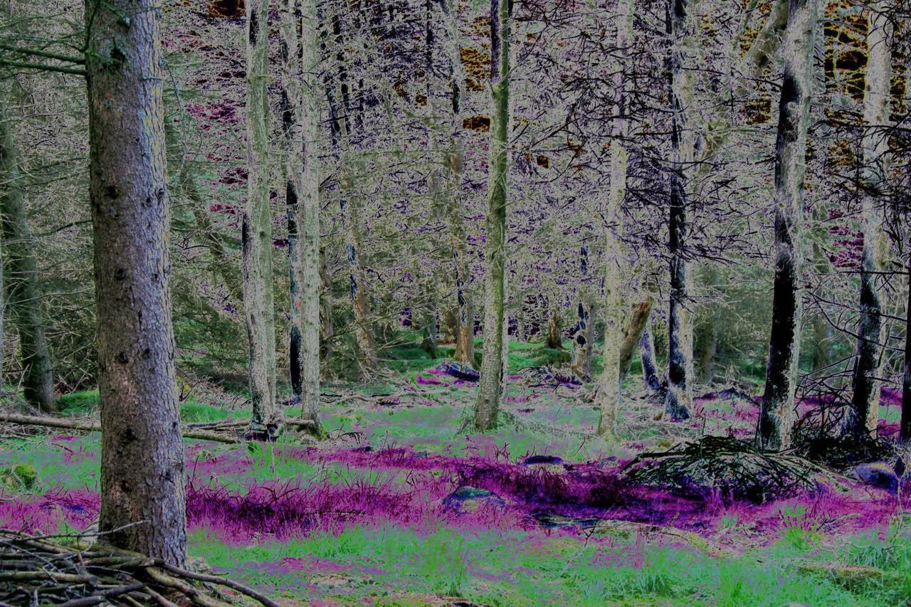 Revmatisme Sykehuset Haugesund