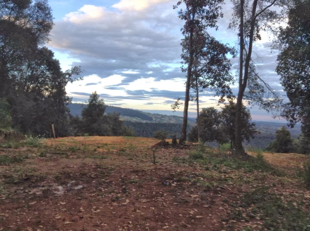 municipio de jilotzingo