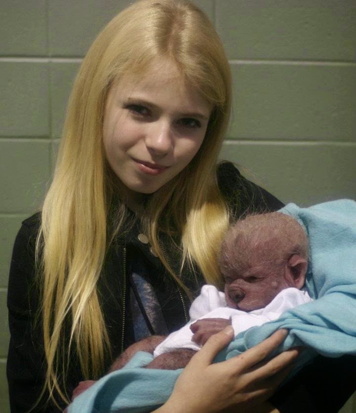 White Wolf : Incredibly Realistic Baby Werewolves by Special FX Artist ...