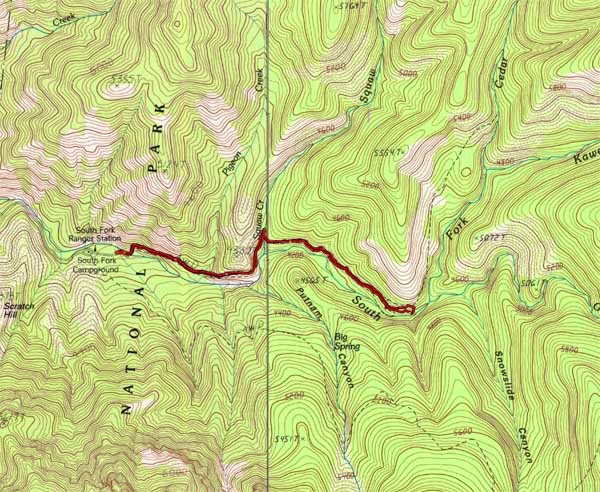 Gary-Summer: March 12, 2014 - Ladybug trail