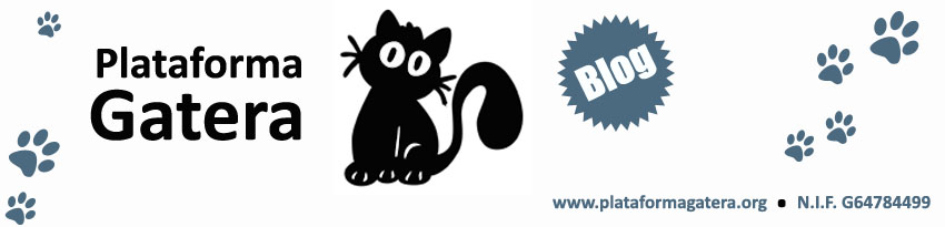 Plataforma GATERA: d’octubre 2015