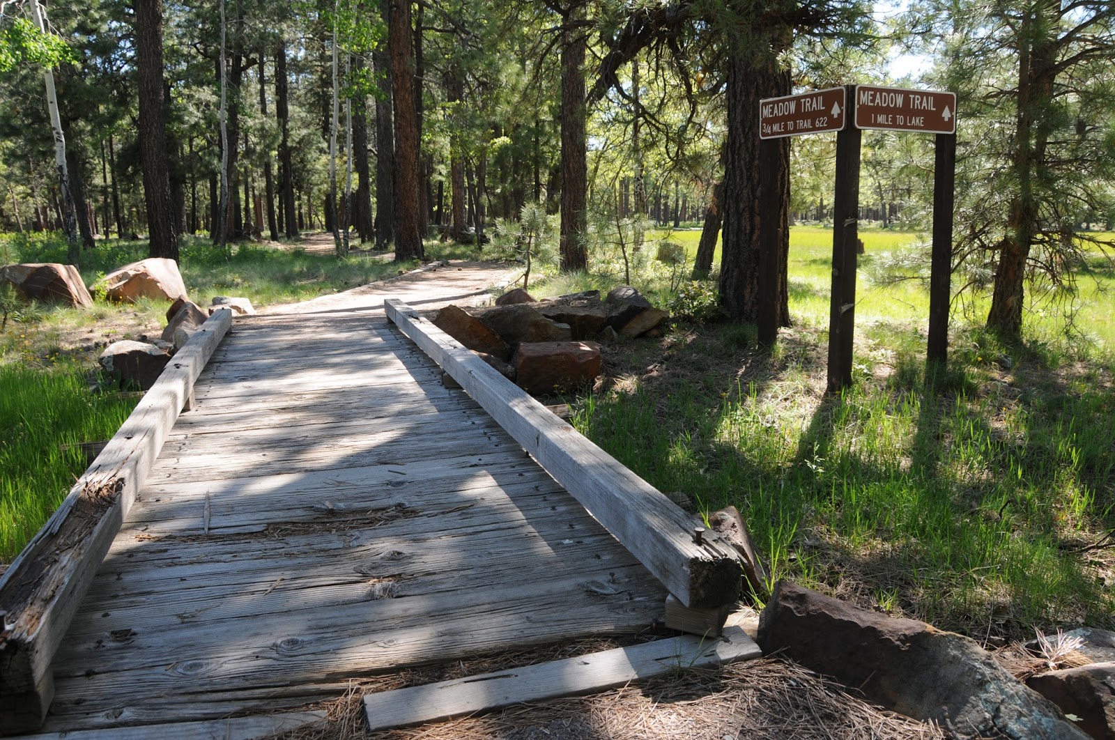 Arizona Hiking: MEADOW TRAIL # 505