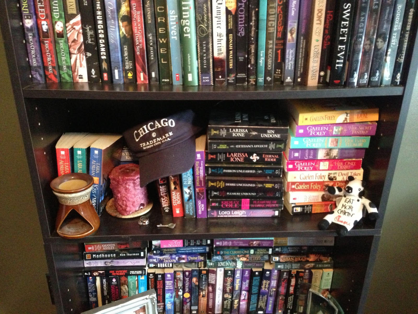 YA Fusion: My Bookshelf Brings All the Boys to the Yard...