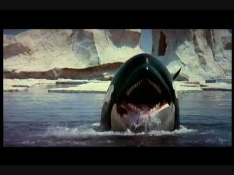 CommentaramaFilms: Guest Review: Orca (1977)
