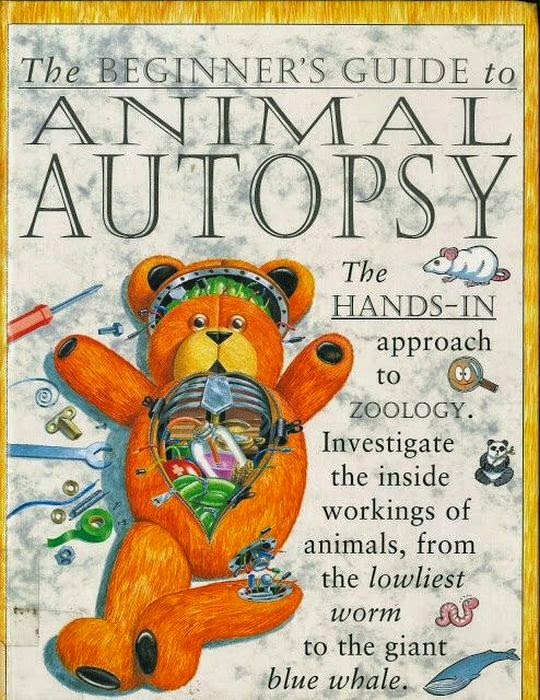 Real Cool Pics: 50 Worst Book Covers and Titles Ever Made