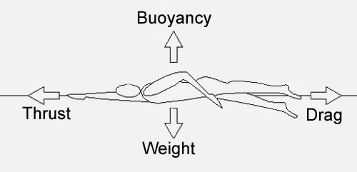 Mrs. Remis' Science Blog - 7th grade: DENSITY & BUOYANCY - MODULE #1