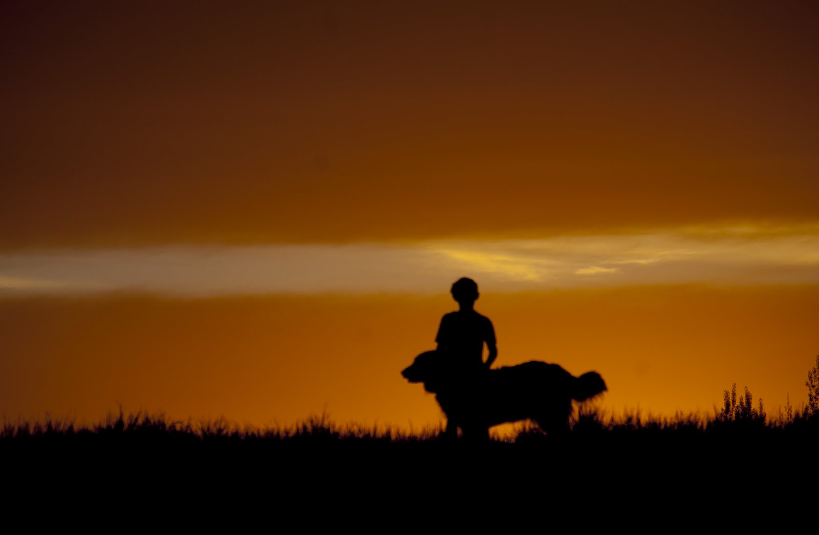 DelliQuadri Family Photography: Summer Sunset Silhouettes