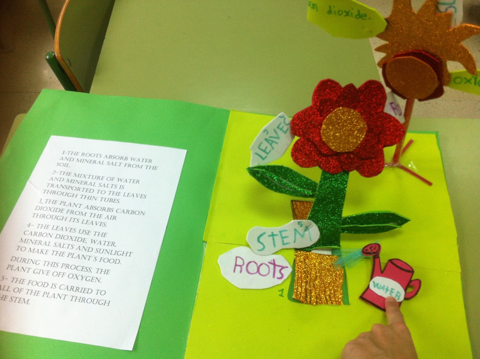 Some of the Projects Class 4 How plants make their own food