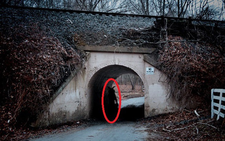 O θρύλος του «Bunny Man» – Ανοπαία ατραπός