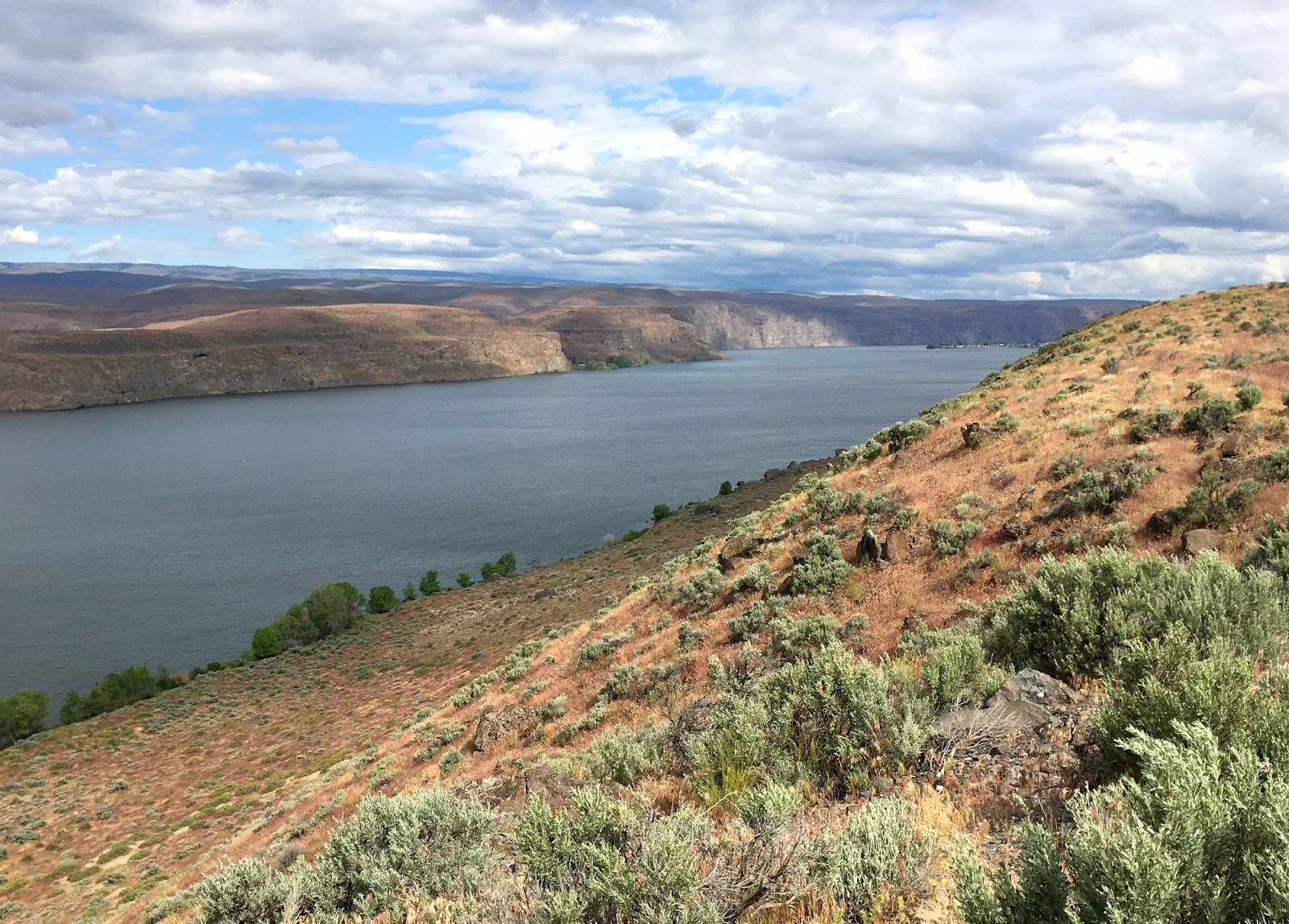 hshipman: Frenchman Coulee