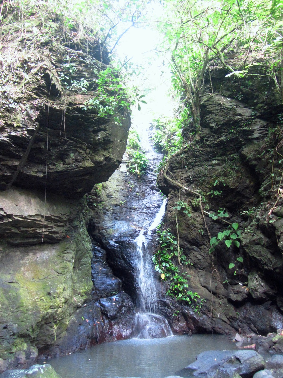 Crimson's Travel Report: Mt. Makiling: with side trip to Dampalit Falls