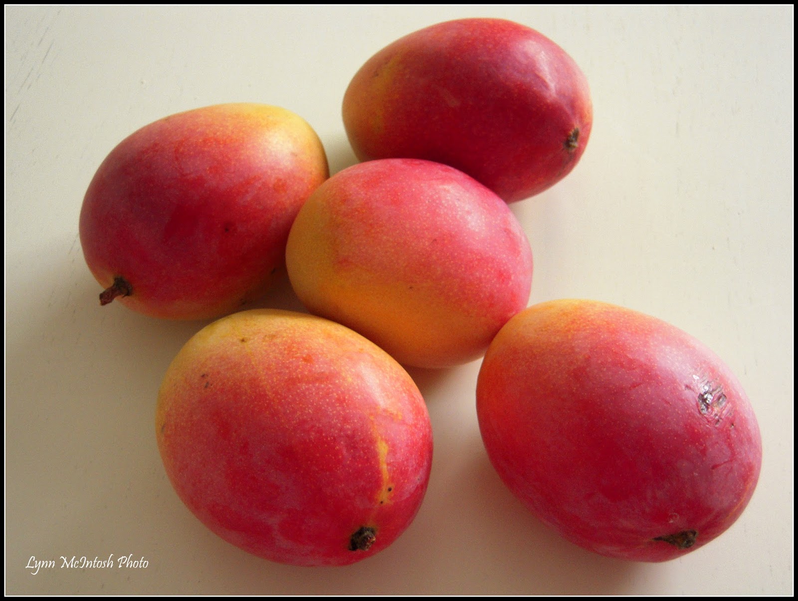 Southwest Florida Gardener: M is for Mango