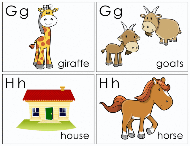 myprojectflashcard: FLASHCARD