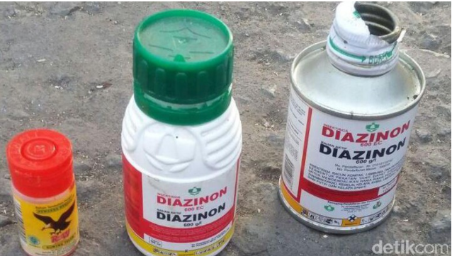 Guna Racun Ubat Kutu, Anak Maut, Ibu Kritikal - NORTH BORNEO BLOG