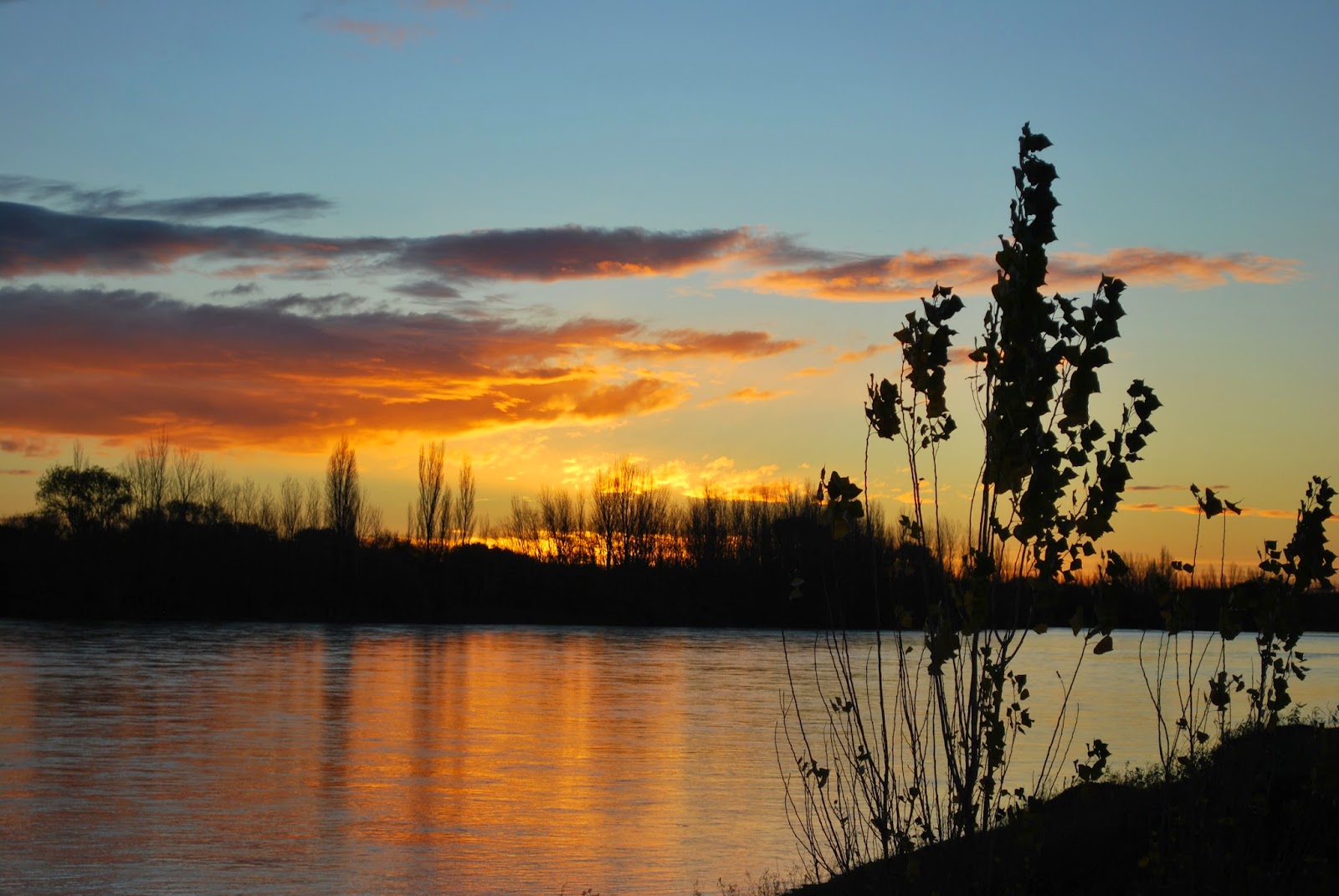 Refracciones.: De Choele Choel