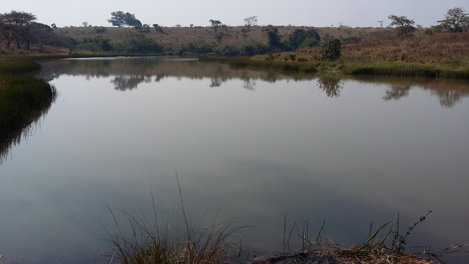 Comercio e Hotelaria | ADMINISTRAÇÃO MUNICIPAL DE AMBACA