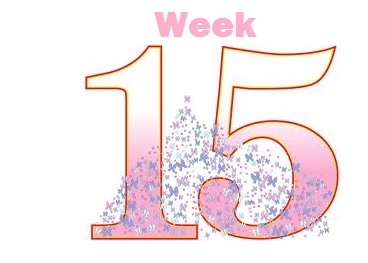 Get a life, Get active! By Fit Lesley