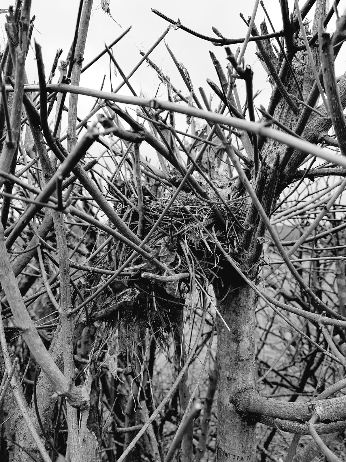 justthoughtsnstuff: facing the strange launch, sb sweeney, roger ashton ...