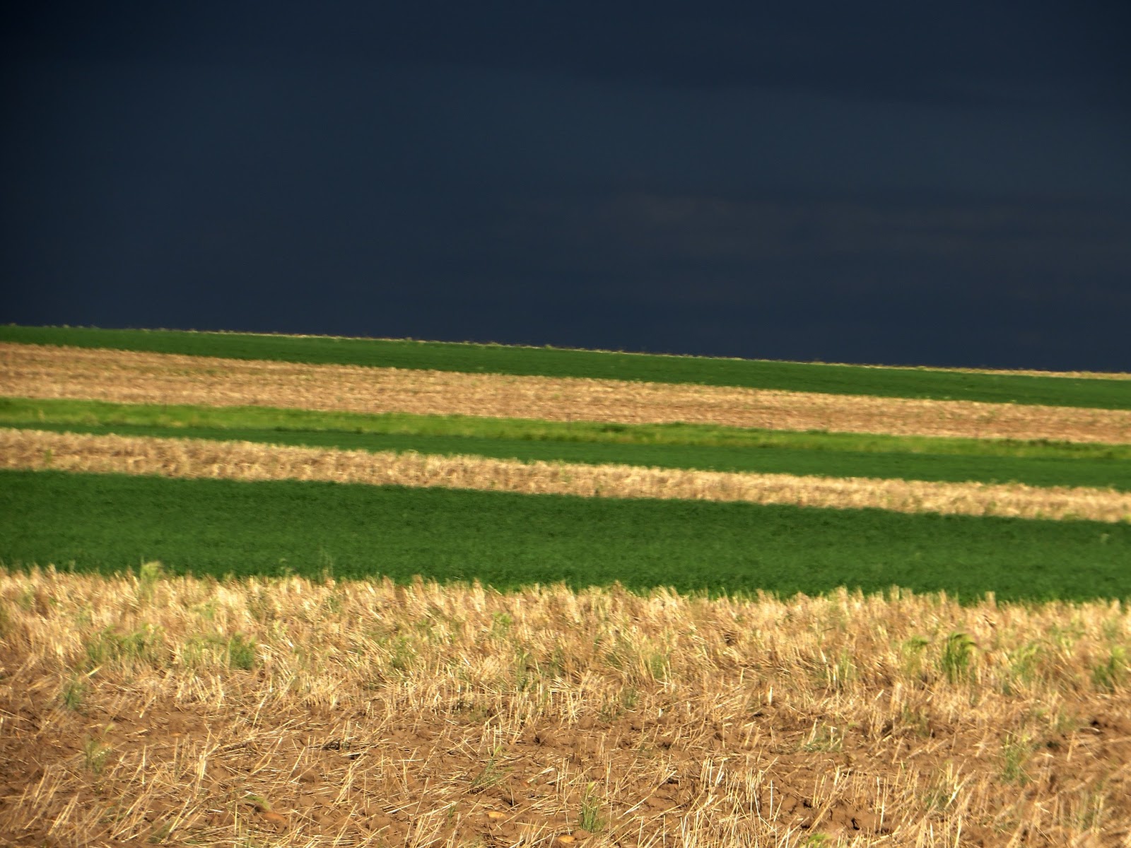 From Old West to Mountain West: Opheim, Montana
