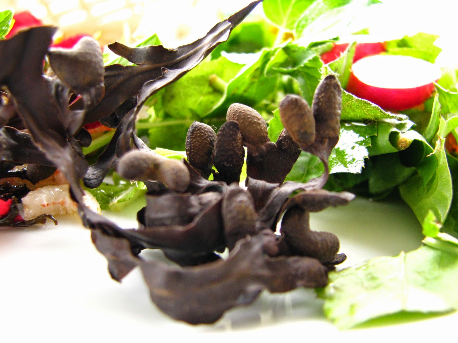 Tang Mad Fra Hav: Når en spiselige blomster nørd mødes med en spiselig ...