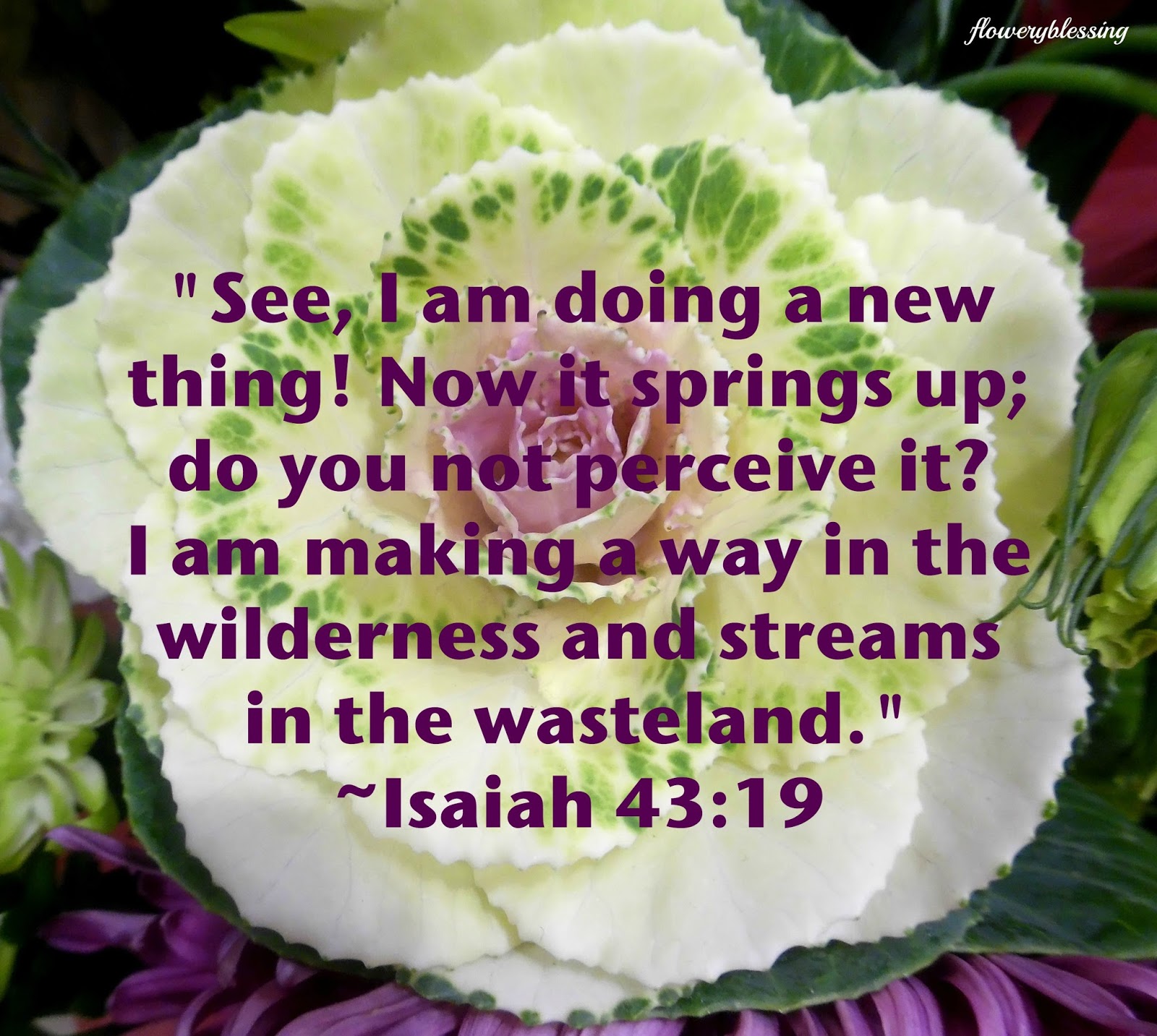 Flowery Blessing: "See, I am doing a new thing! Now it springs up; do ...