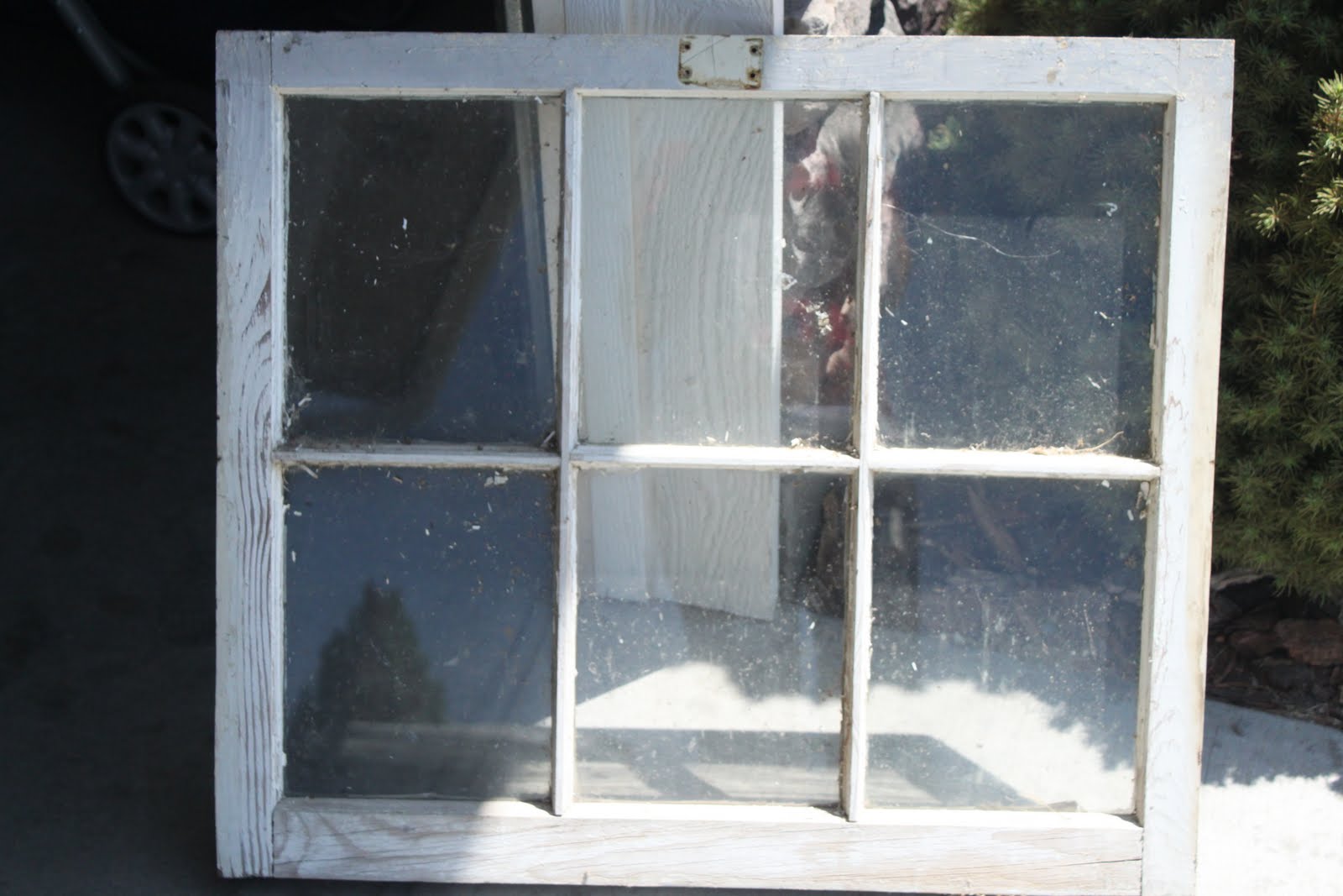 The Walls: Old Barn Windows
