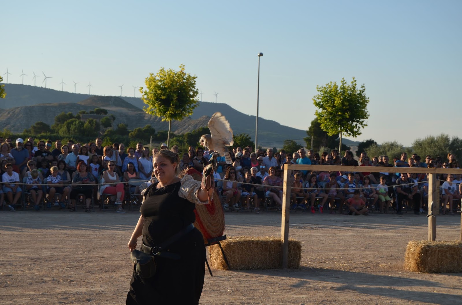 Centro de Estudios Borjanos: Recreación de una justa medieval